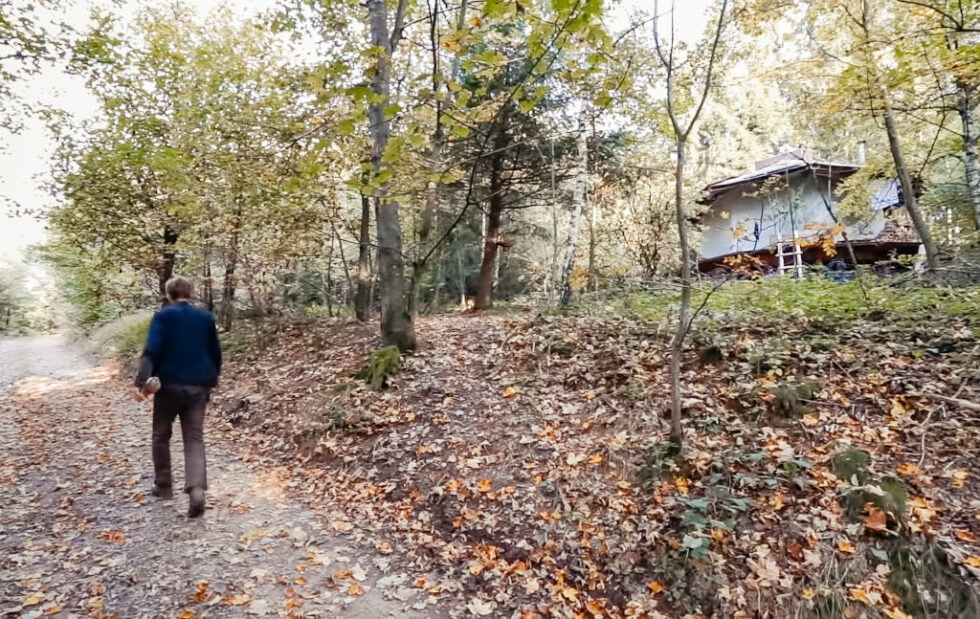 Aussteiger lebt 7 Jahre im Wald: Die Geschichte von Marc Freukes